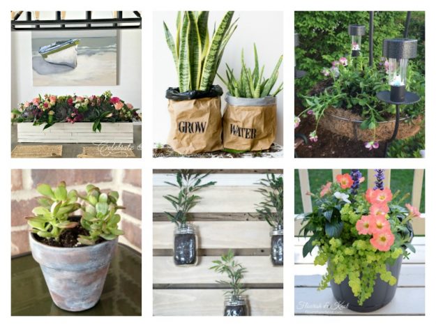 12 DIY Planter Ideas - two purple couches